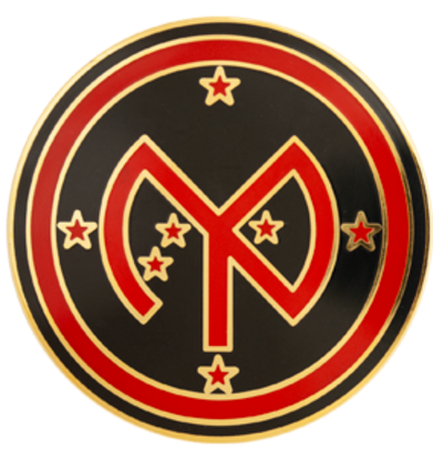 U.S. Army CSIB - Combat Service Identification Badge