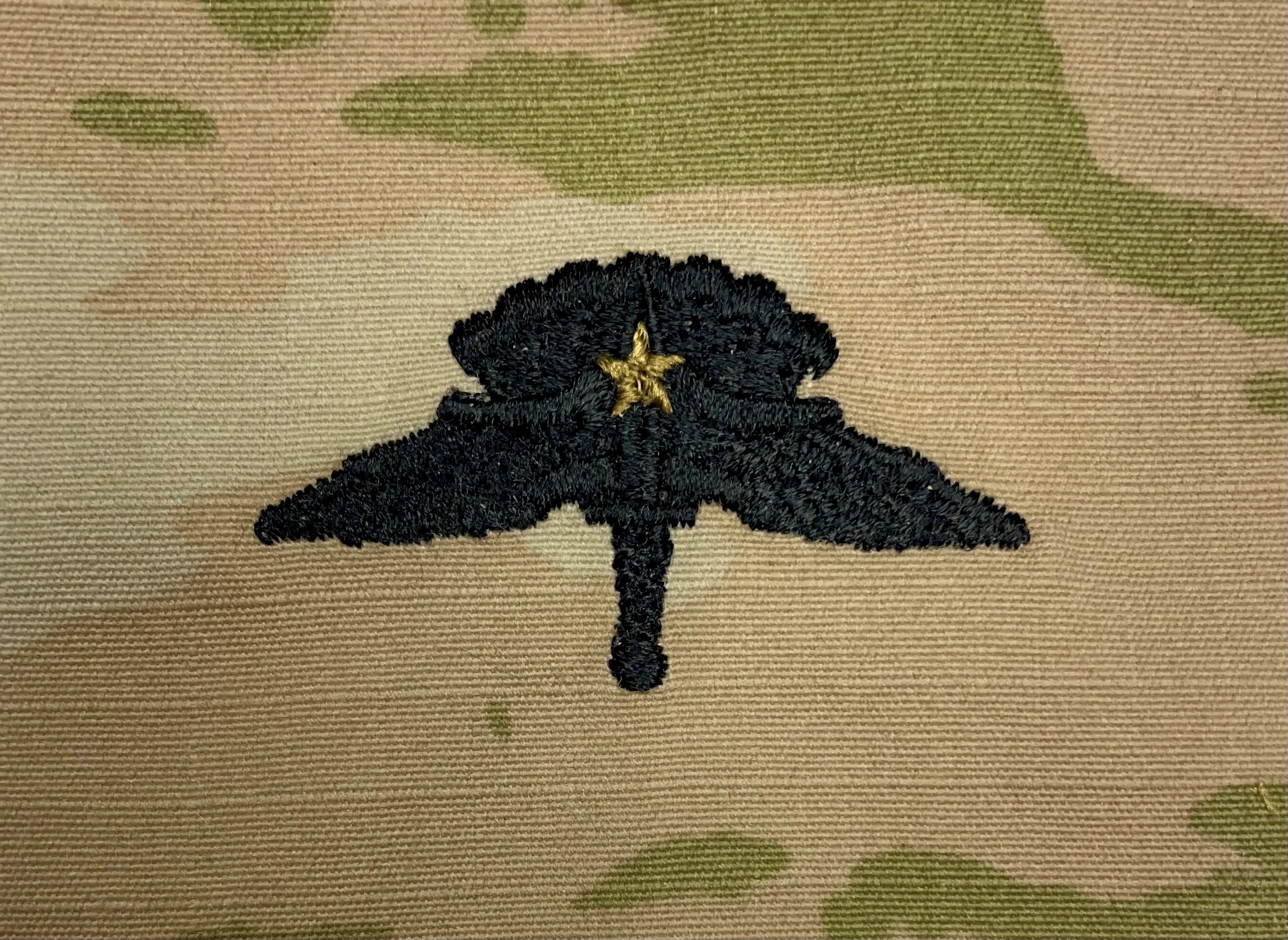 Combat HALO Free Fall Parachutist - U.S. Army OCP Occupational Badge