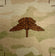 Freefall Jump Wings - Air Force Badge - 3 Color OCP - Sew-On