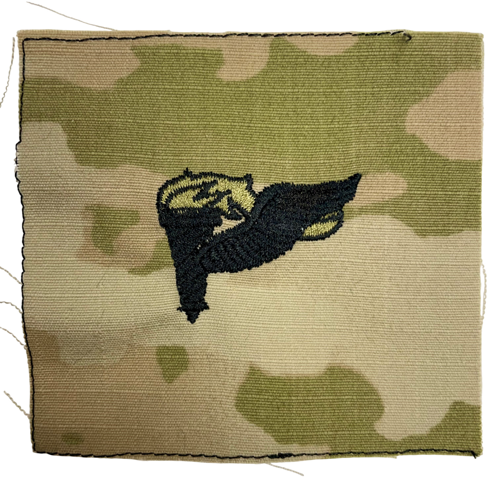Pathfinder Ocp Qualification Badge