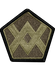 55th Sustainment Brigade OCP Patch
