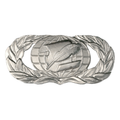 Air Force Badge - Information Management