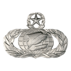 Air Force Badge - Information Management
