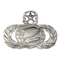 Air Force Badge - Information Management