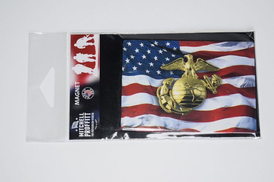 American Flag with EGA Symbol - Novelty Military Magnet