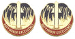 263rd ADA BDE Distinctive Unit Insignia
