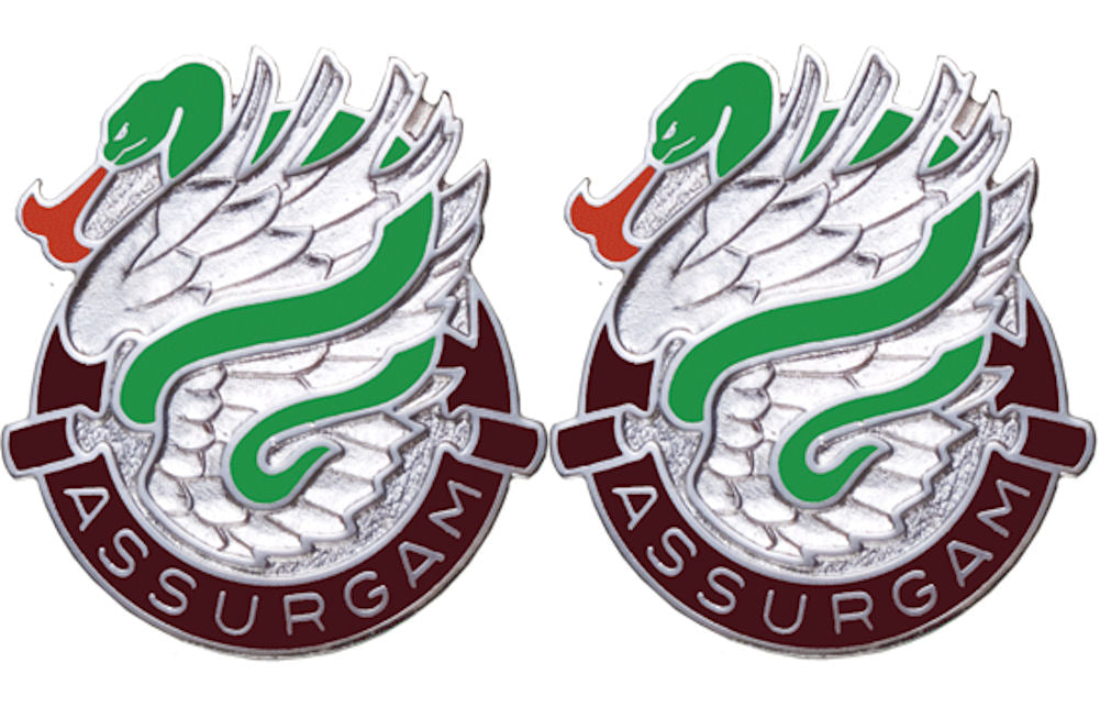 626th SUPPORT BATTALION Distinctive Unit Insignia - ASSURGAM