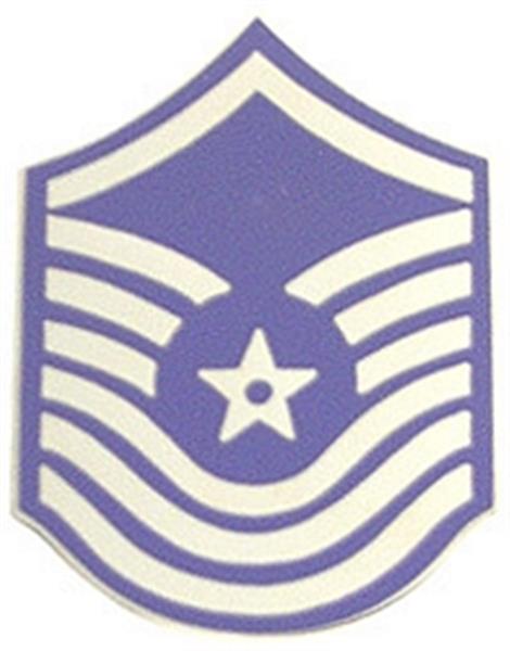 USAF E-8 SMSgt Small Hat Pin