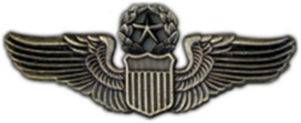 Command Pilot Large Pin - CLEARANCE!