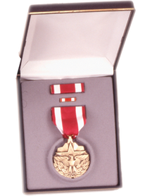 U.S. Army Meritorious Service Medal Set with Ribbon