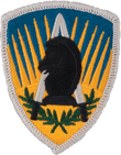650th Military Intelligence Group Patch