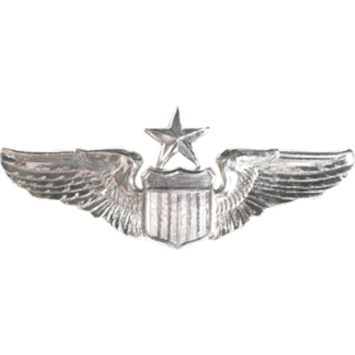 Air Force Badge - Pilot
