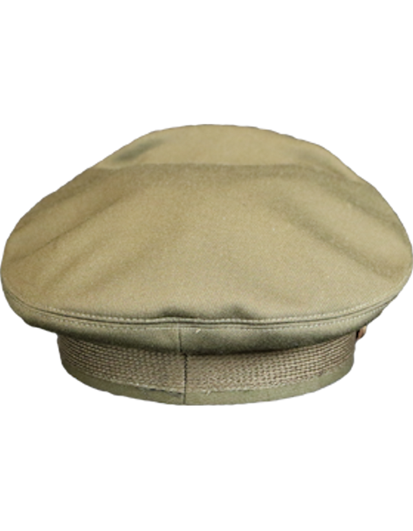 AGSU Army Enlisted Service Cap - Pinks and Greens