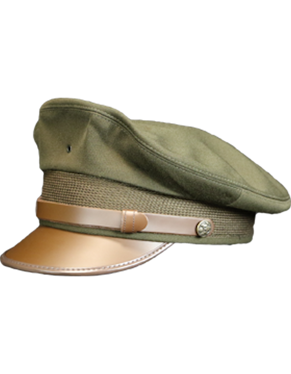 AGSU Army Enlisted Service Cap - Pinks and Greens