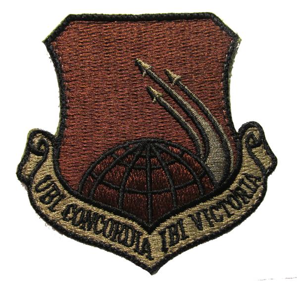 Air Force 495th Fighter Group OCP Patch - Spice Brown