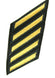 U.S. Army Service Stripes