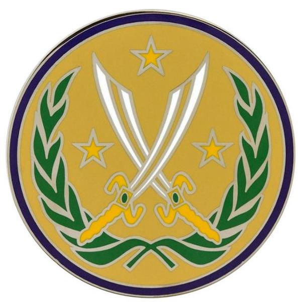 U.S. Army CSIB - Combat Service Identification Badge