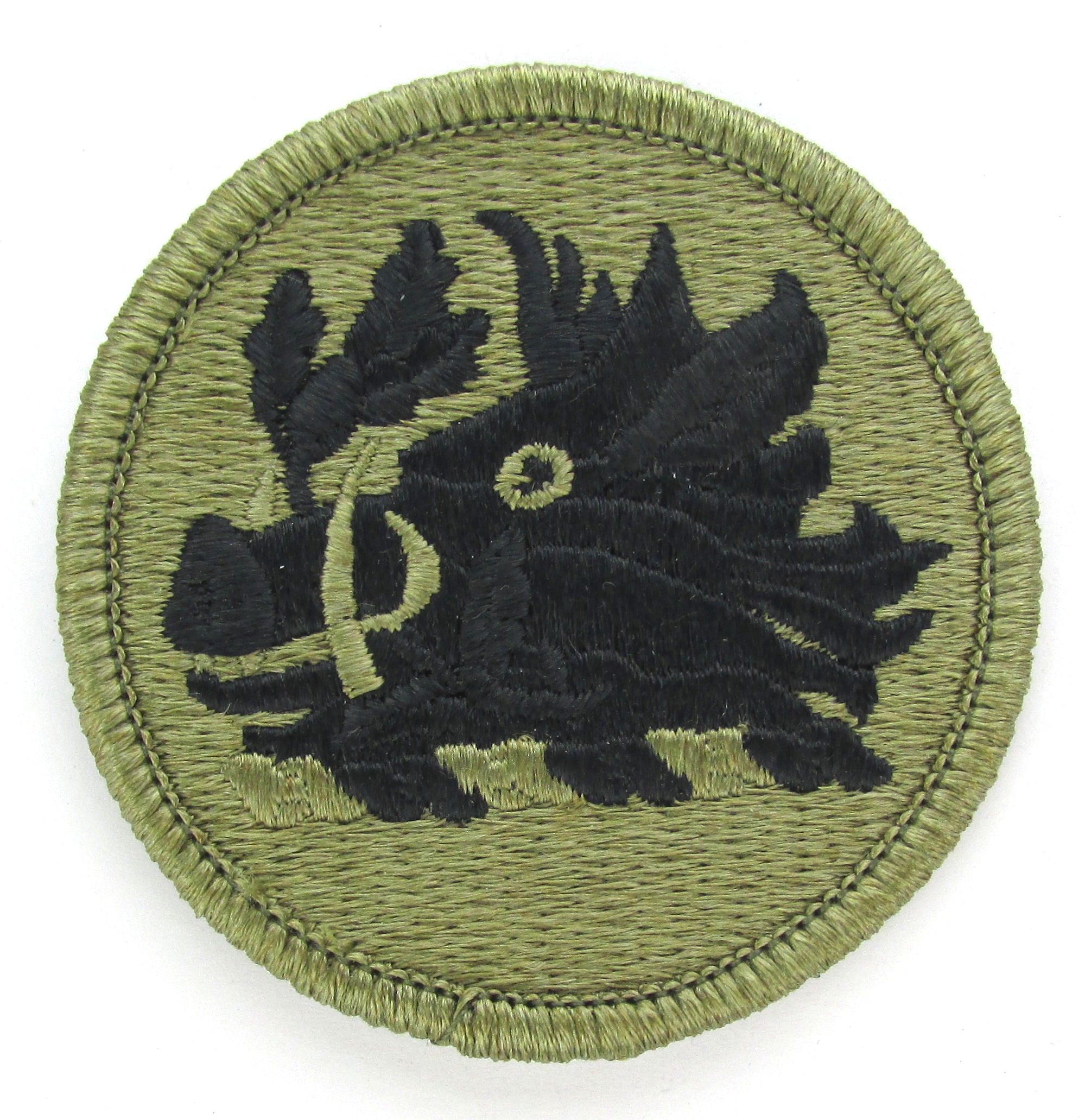 Georgia Army National Guard OCP Patch