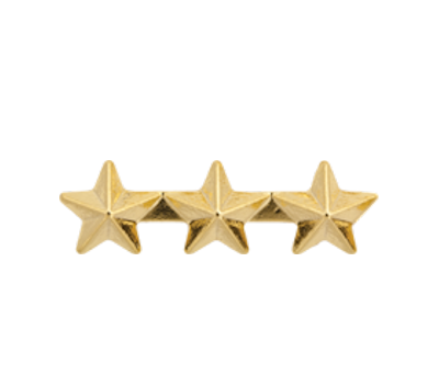 3 Gold Star Ribbon Device