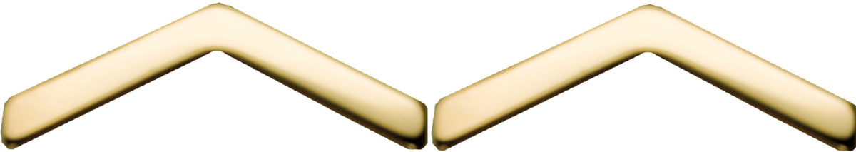 U.S. Army ROTC Rank - No Shine Pin-on Metal Rank Insignia