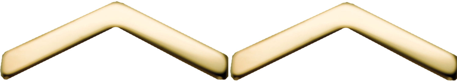 U.S. Army ROTC Rank - No Shine Pin-on Metal Rank Insignia